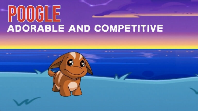 All Thing About Poogle in Neopets
